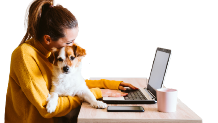 Pet Owner Resources at VSC Sarasota